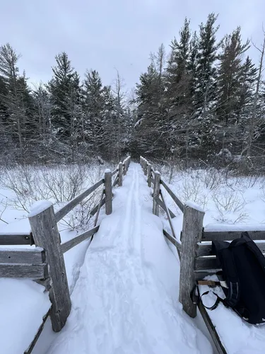 Best Hikes and Trails in Limerick Forest North | AllTrails