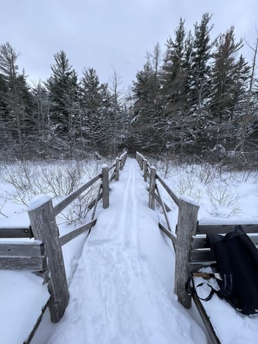 Best Hikes and Trails in Limerick Forest North | AllTrails