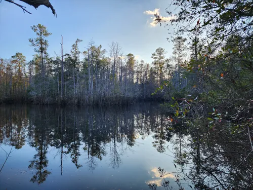 Best Lake Trails in Holt | AllTrails