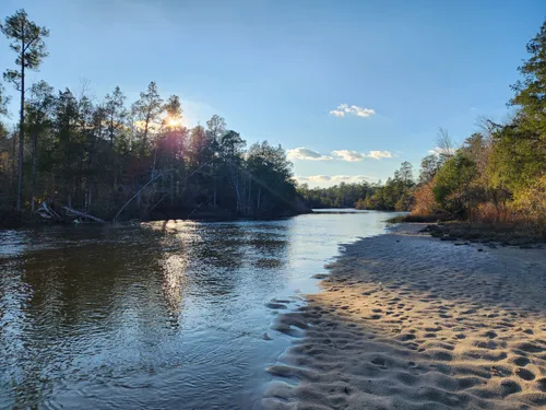 Best Lake Trails in Holt | AllTrails