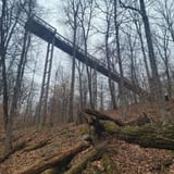 Iron Ore Hill Loop Trail, Kentucky - 404 Reviews, Map | AllTrails
