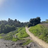 Lost Trail and Brea Dam Trail, California - 330 Reviews, Map | AllTrails
