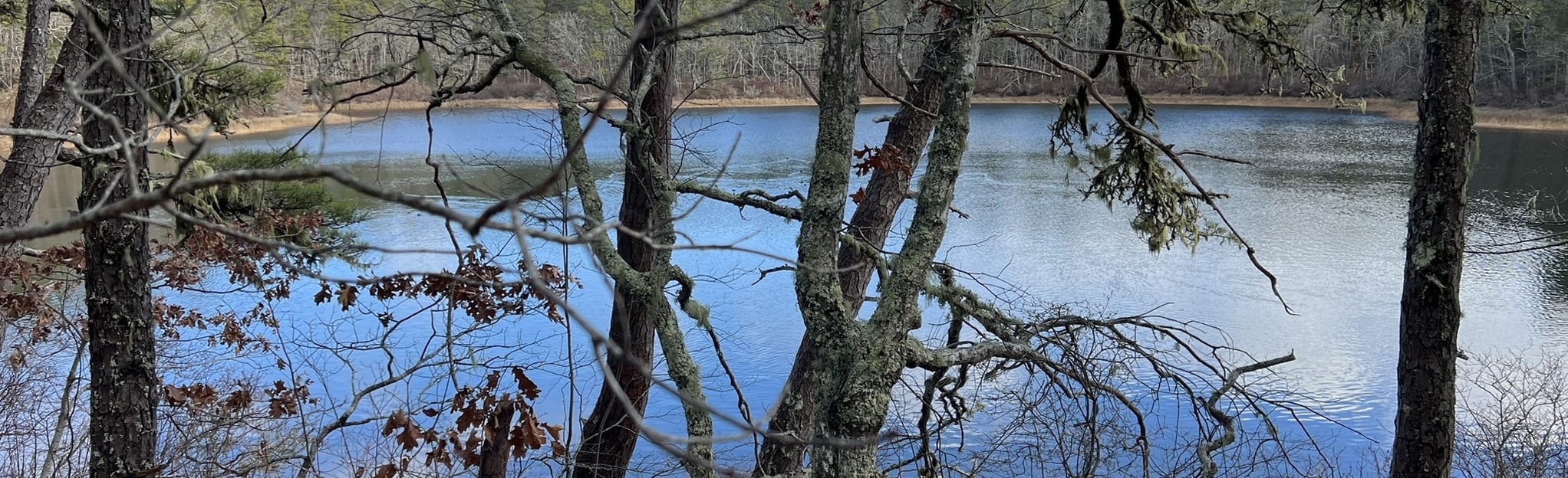 Ober, Deer Park, and Ruth Pond Loop, Massachusetts - 122 Reviews, Map ...