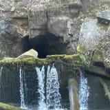 Cave River Valley Trail, Indiana - 206 Reviews, Map | AllTrails