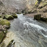 Cave River Valley Trail, Indiana - 204 Reviews, Map | AllTrails