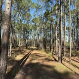 Three Lakes Loop, Florida - 262 Reviews, Map | AllTrails