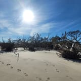 Black Rock Trail, Florida - 149 Reviews, Map | AllTrails