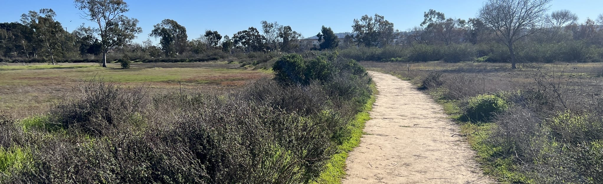 Madrona Marsh, California - 118 Reviews, Map | AllTrails