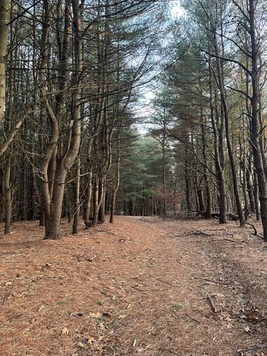 Best Hikes and Trails in Calverton Ponds Preserve | AllTrails