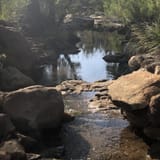 Berrara Waterfall, New South Wales, Australia - 45 Reviews, Map | AllTrails