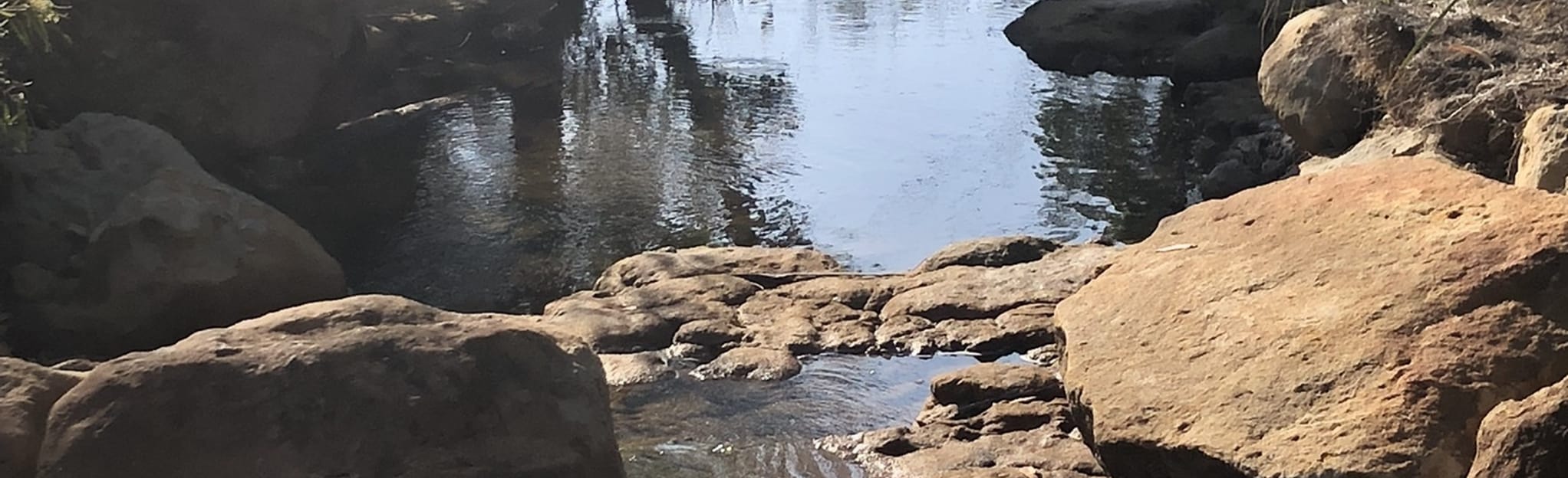 Berrara Waterfall: 23 Reviews, Map - New South Wales, Australia | AllTrails