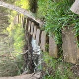 Trachyte Circuit, Queensland, Australia - 226 Reviews, Map | AllTrails