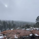 Mogollon Rim Interpretive Trail, Arizona - 436 Reviews, Map | AllTrails