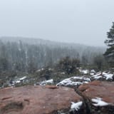 Mogollon Rim Interpretive Trail, Arizona - 436 Reviews, Map | AllTrails
