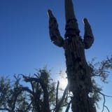 Magic Circle Loop, Arizona - 40 Reviews, Map | AllTrails
