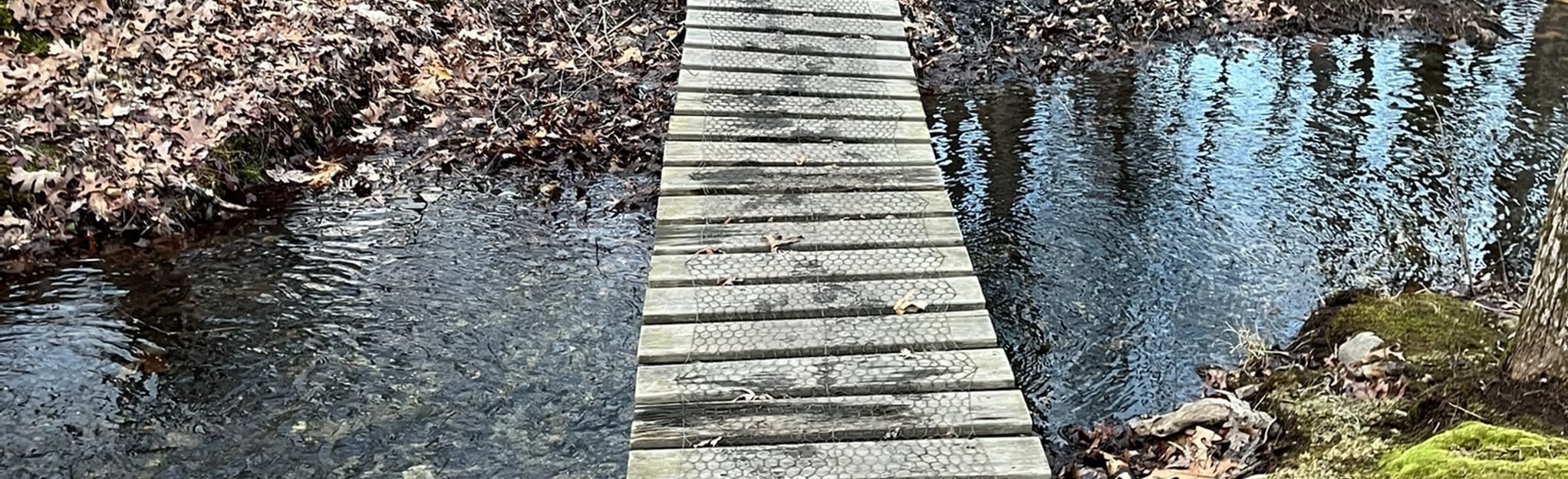 Ryan Park Loop: 337 Reviews, Map - Rhode Island | AllTrails