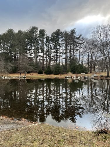 2023 Best Forest Trails in East Walpole | AllTrails