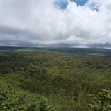 Mount Fox, Queensland, Australia - 13 Reviews, Map | AllTrails