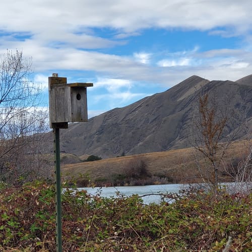 Best Hikes and Trails in Chief Timothy Park | AllTrails