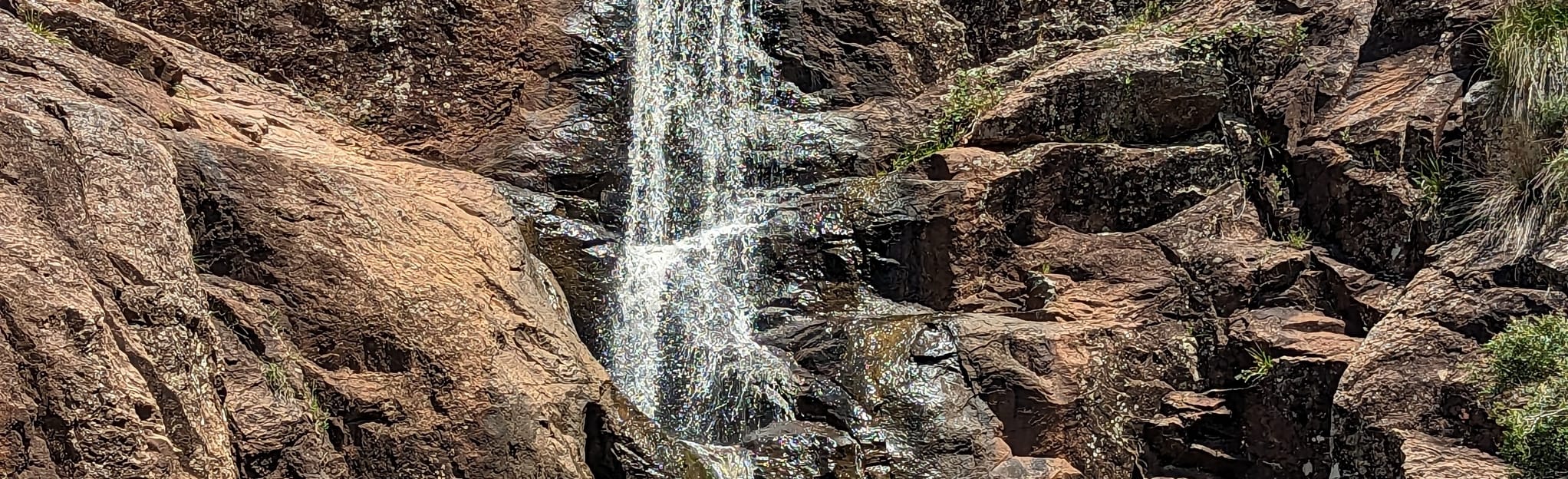 Sixty Foot Falls: 79 Reviews, Map - New South Wales, Australia | AllTrails