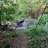 Westville Eco Trail, Kwazulu-Natal, South Africa - 13 Reviews, Map ...