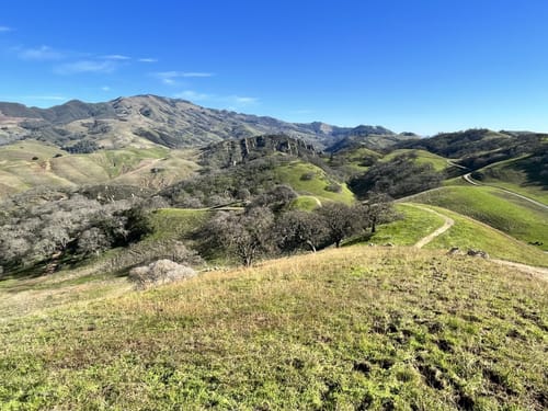 Best 10 Hikes and Trails in Diablo Foothills Regional Park | AllTrails