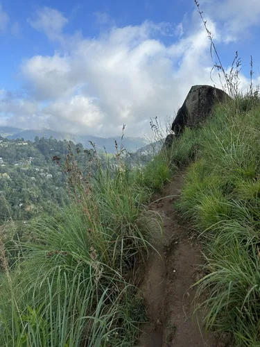 2023 Best Trails, Walks, and Paths in Ella Rock house | AllTrails