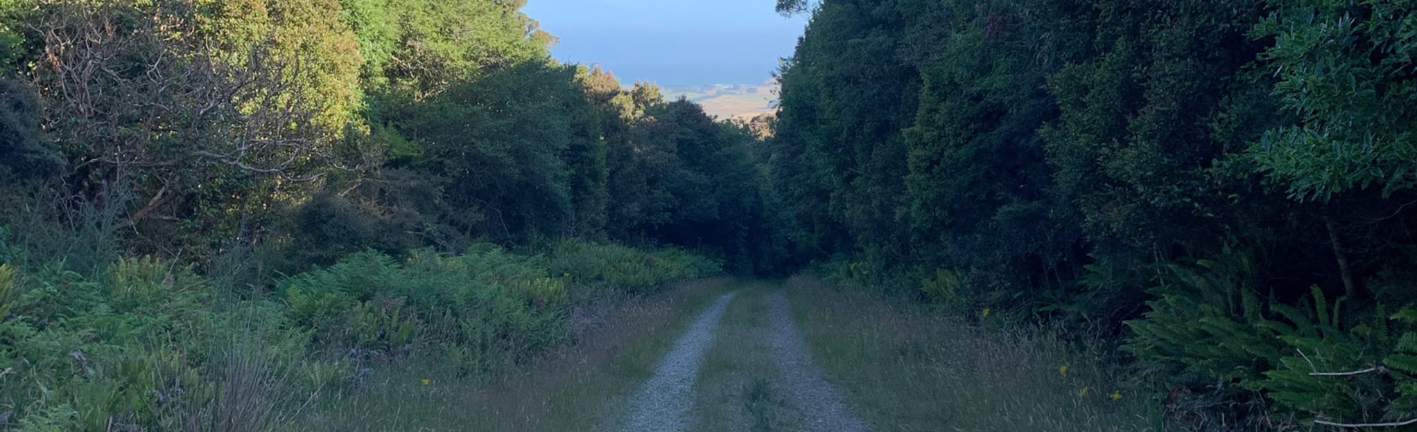 Waipohatu Waterfalls Loop Walk: 97 Reviews, Map - Southland, New ...