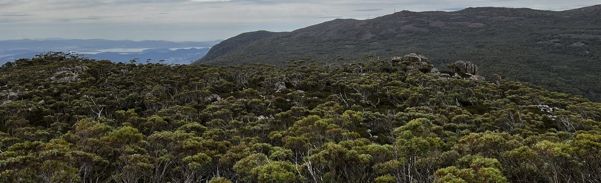 AllTrails | Tom Thumb and Mount Connection Loop: 18 Reviews, Map ...