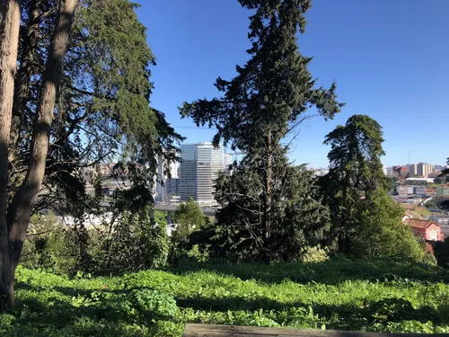 10 Best Hikes and Trails in Monsanto Forest Park | AllTrails