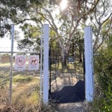 Gresswell Forest Loop, Victoria, Australia - 309 Reviews, Map | AllTrails