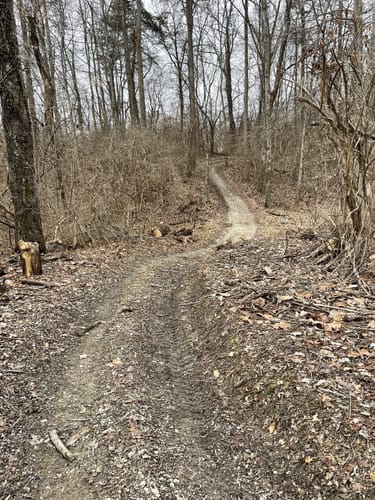 Best Hikes and Trails in Hanging Rock | AllTrails