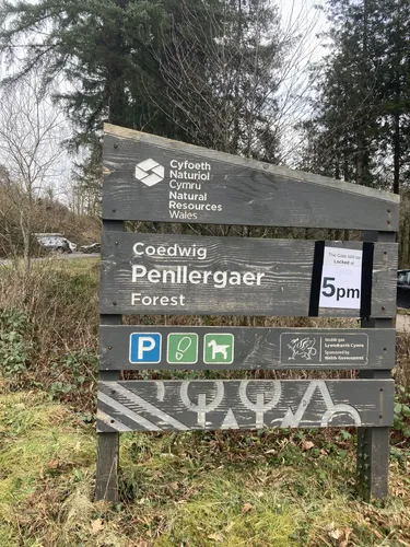 Best Hikes and Trails in Penllergaer Forest | AllTrails