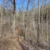 Cave Spring Loop Trail, Missouri - 326 Reviews, Map | AllTrails