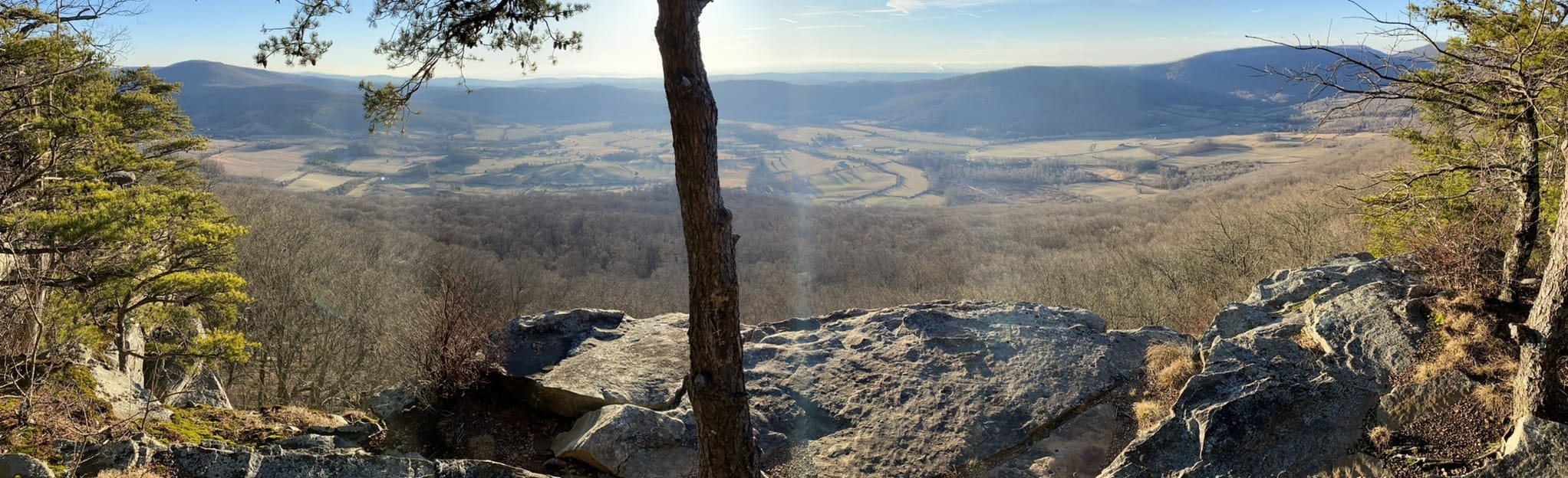 Brady Mountain Trail: 42 Reviews, Map - Tennessee | AllTrails