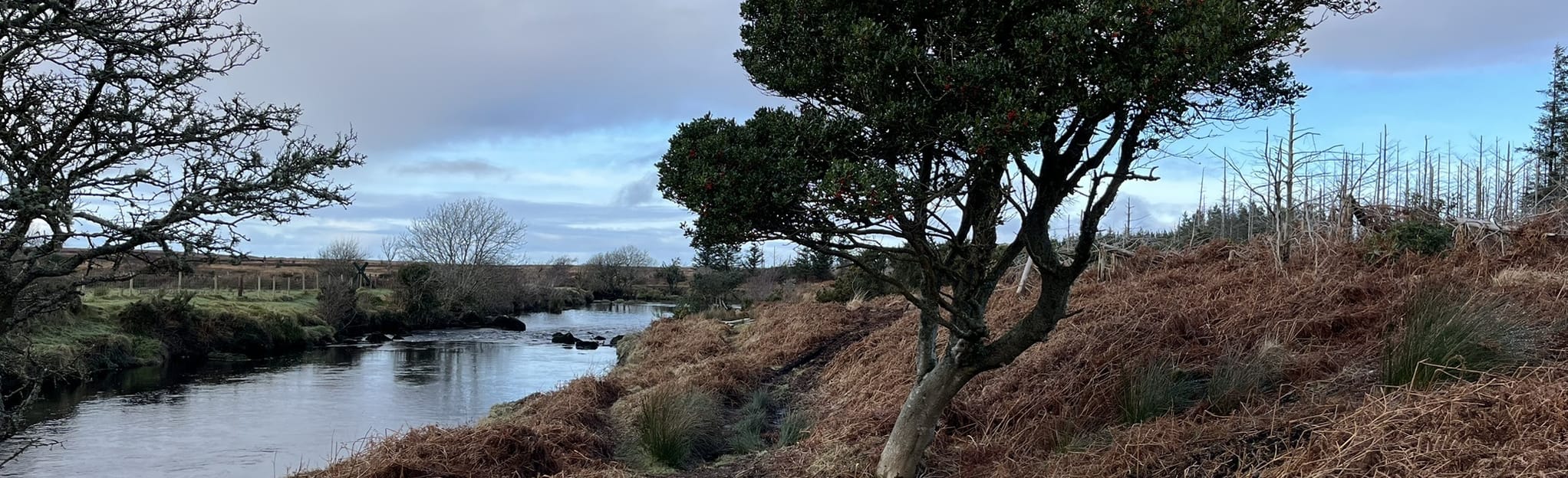 The Bluestack Way: Glenties - Ardara: 37 Fotos - County Donegal, Irland ...