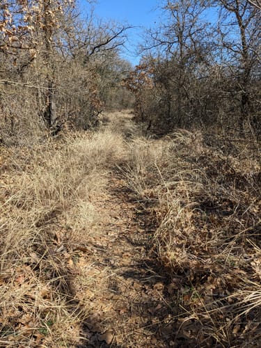 Best Hikes and Trails in Southwest Nature Preserve | AllTrails