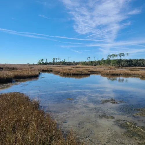 Best Hikes and Trails in Buccaneer State Park | AllTrails