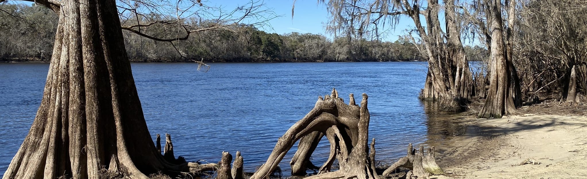 Otter Springs North Trail: 13 Reviews, Map - Florida | AllTrails