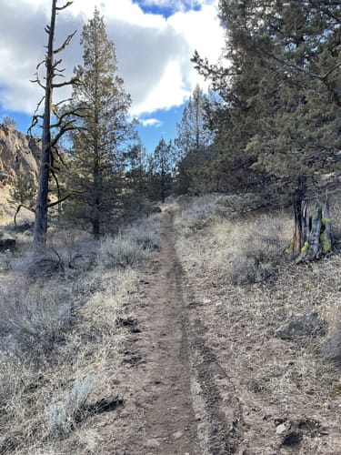 Best Hikes and Trails in Cline Buttes Recreation Area | AllTrails