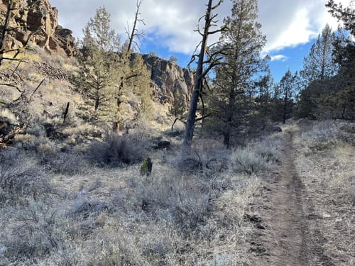 Best Hikes and Trails in Cline Buttes Recreation Area | AllTrails