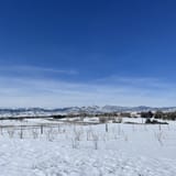 Niwot Loop Trail, Colorado - 462 Reviews, Map | AllTrails