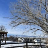 Niwot Loop Trail, Colorado - 481 Reviews, Map | AllTrails