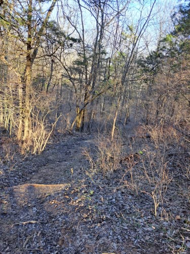 Best Hikes and Trails in Morgan Conservation Park | AllTrails