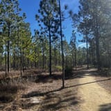 NMB Nature Trail, South Carolina - 339 Reviews, Map | AllTrails