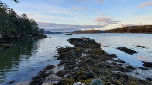 Best Hikes and Trails in Plummer Point Reserve | AllTrails
