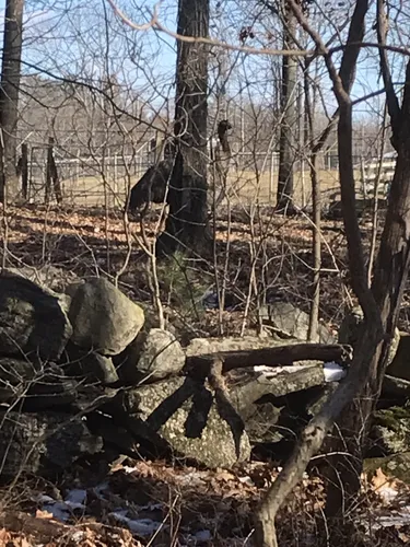 Best Hikes and Trails in Fay Grant Bird Sanctuary | AllTrails