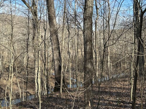 Best Hikes and Trails in Springs Valley Recreation Area | AllTrails