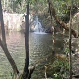 Waitui Falls, New South Wales, Australia - 12 Reviews, Map | AllTrails