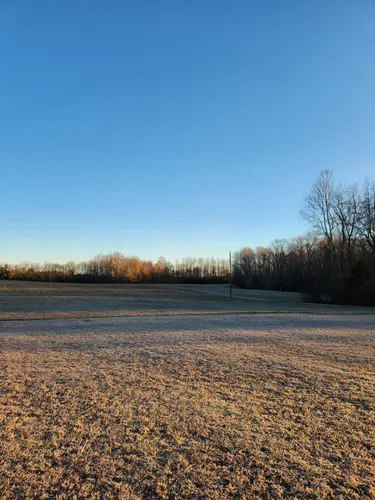 Best Hikes and Trails in Sandy Point State Forest | AllTrails